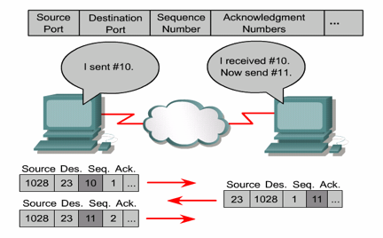 Discuss TCP-Window Management System? | Computer Science and ...