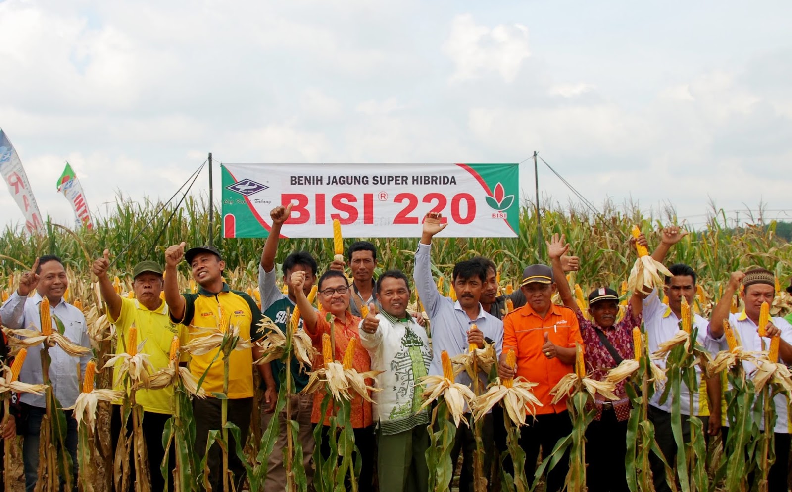 Panen Raya BISI 220 di ds Rejomulyo Kec. Tanjung Bintang Kab. Lampung ...