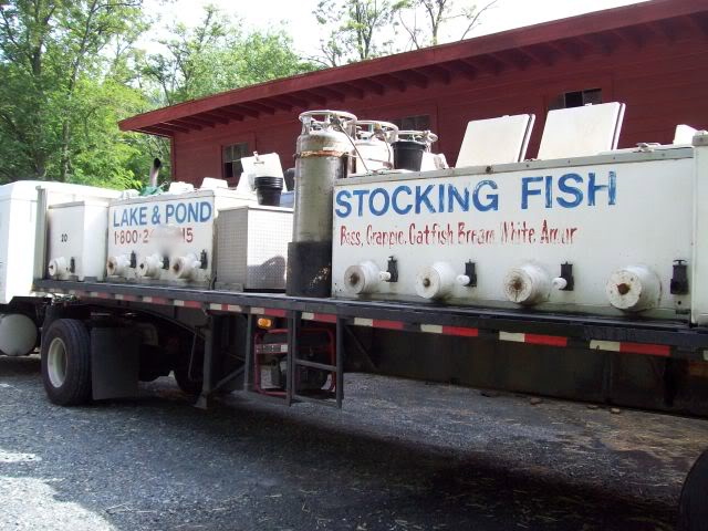 Mike and Lisa's World: Chapter 114...Buying Fish From The Fish Truck ...