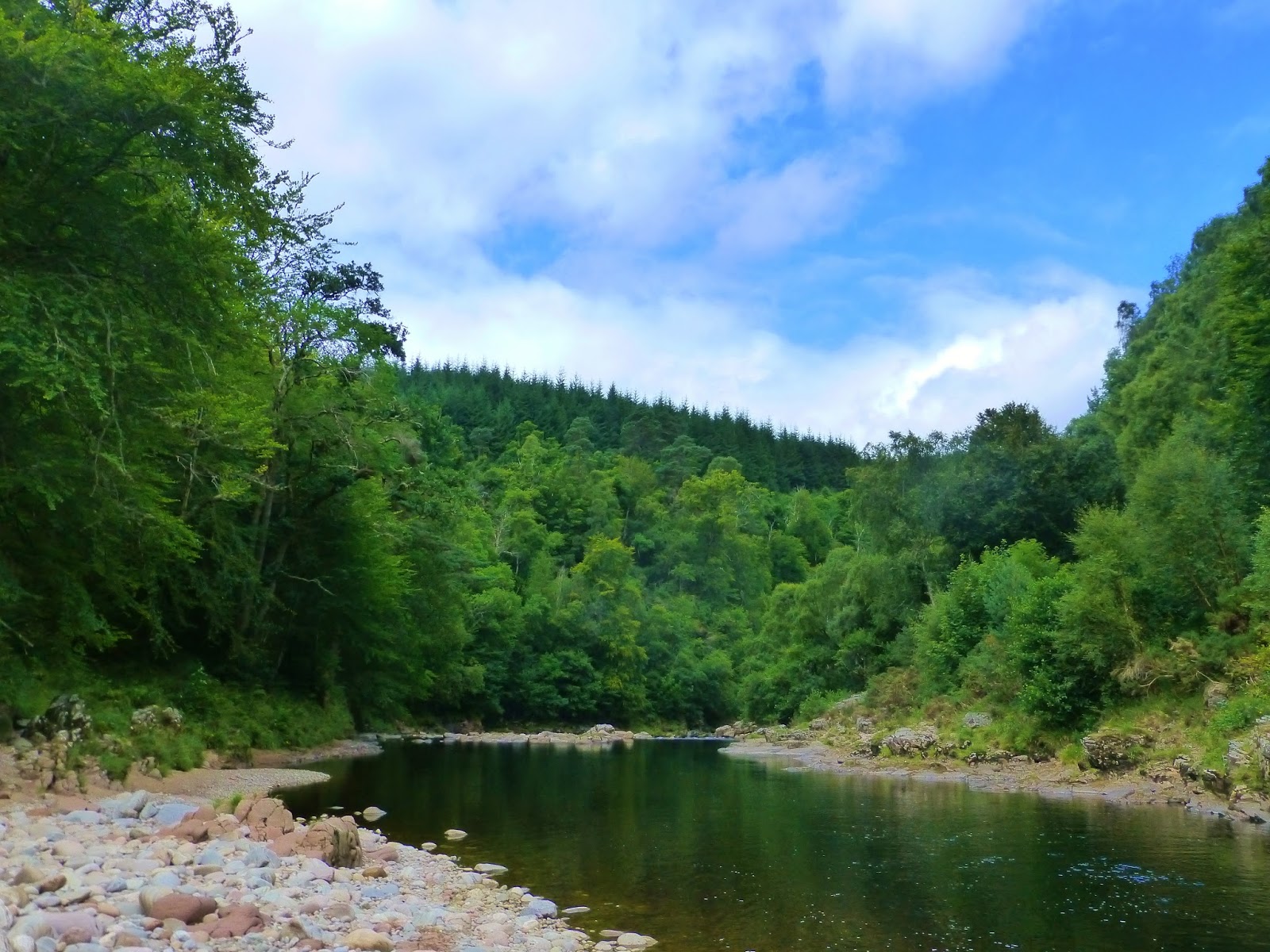 Big Gorse Bush: River Findhorn and Darnaway Forest.