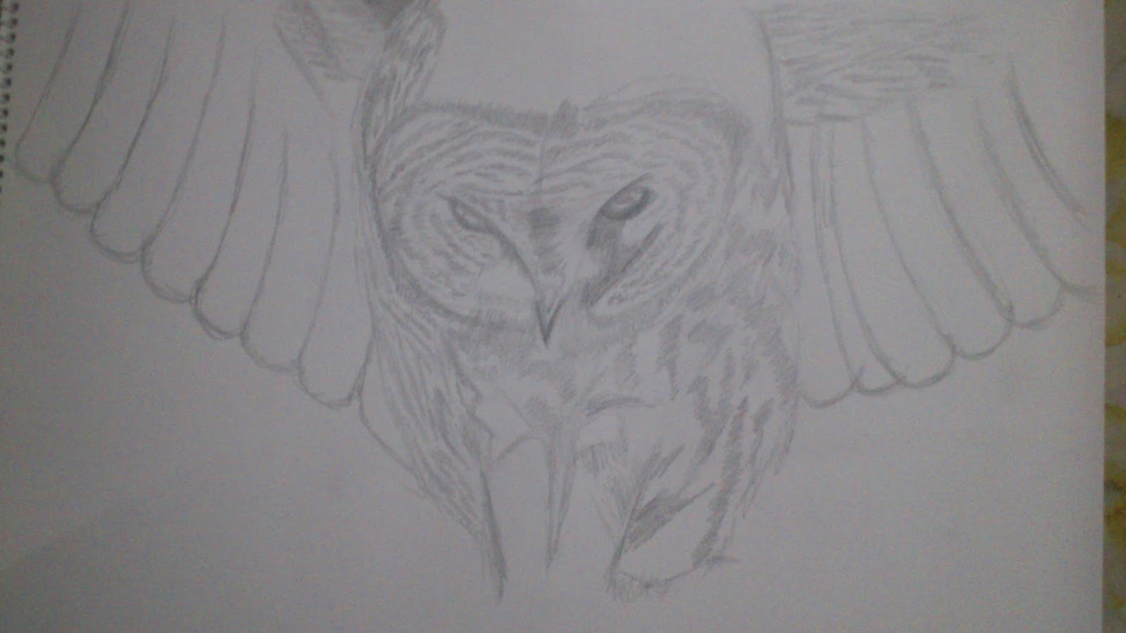 Dive on Arts: An owl and its prey