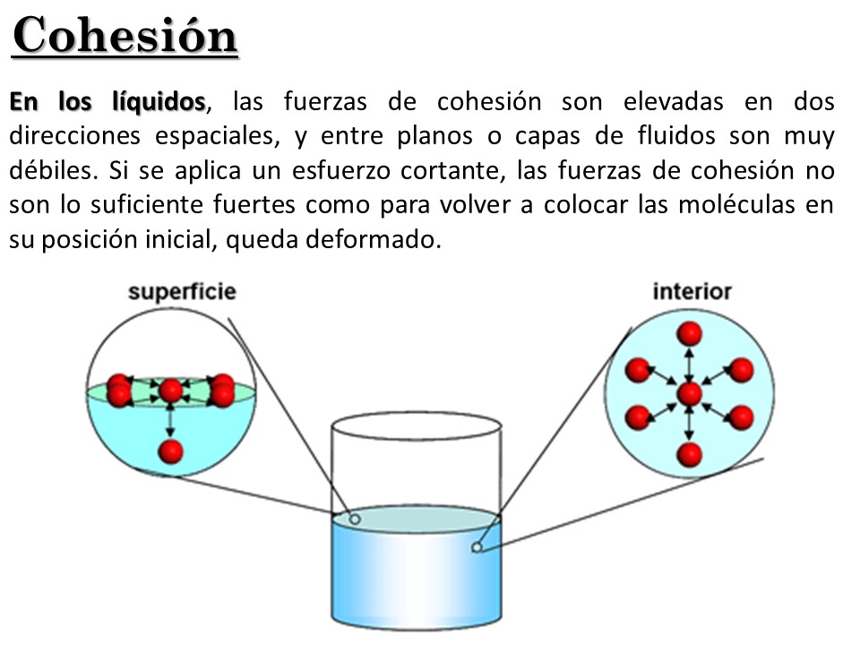 Física: Presentación Cohesión, Adherencia y Capilaridad
