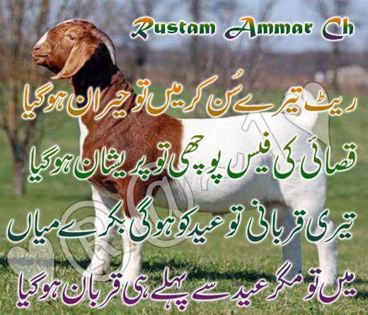 Urdu Poetry : Bakra Eid