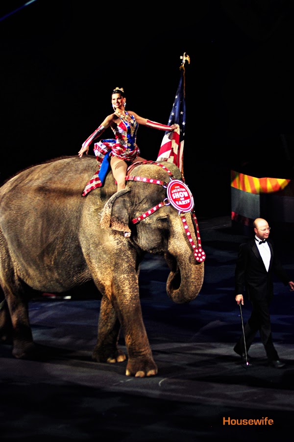Family Night at Ringling Bros - Housewife Eclectic
