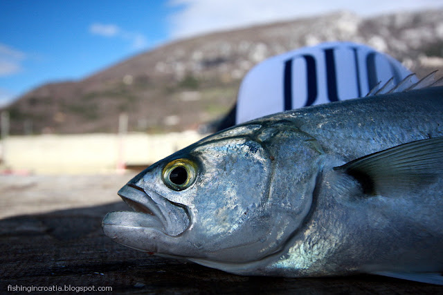 Fishing In Croatia (and in the neighbourhood): Fishing with confidence