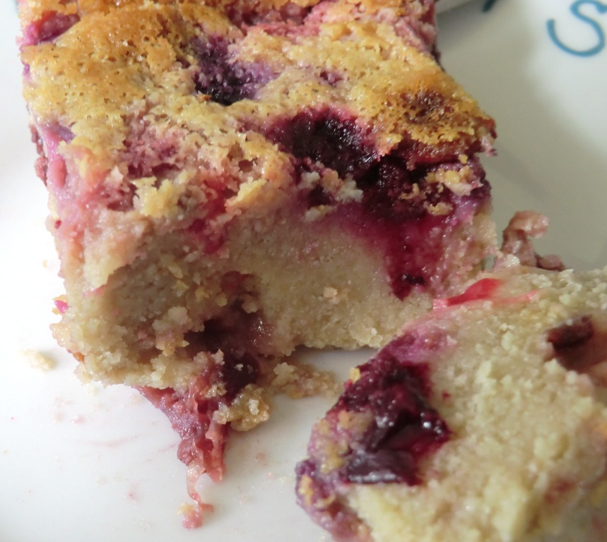 Clafoutis aux fruits rouges sans gluten et sans lactose - Ma petite ...