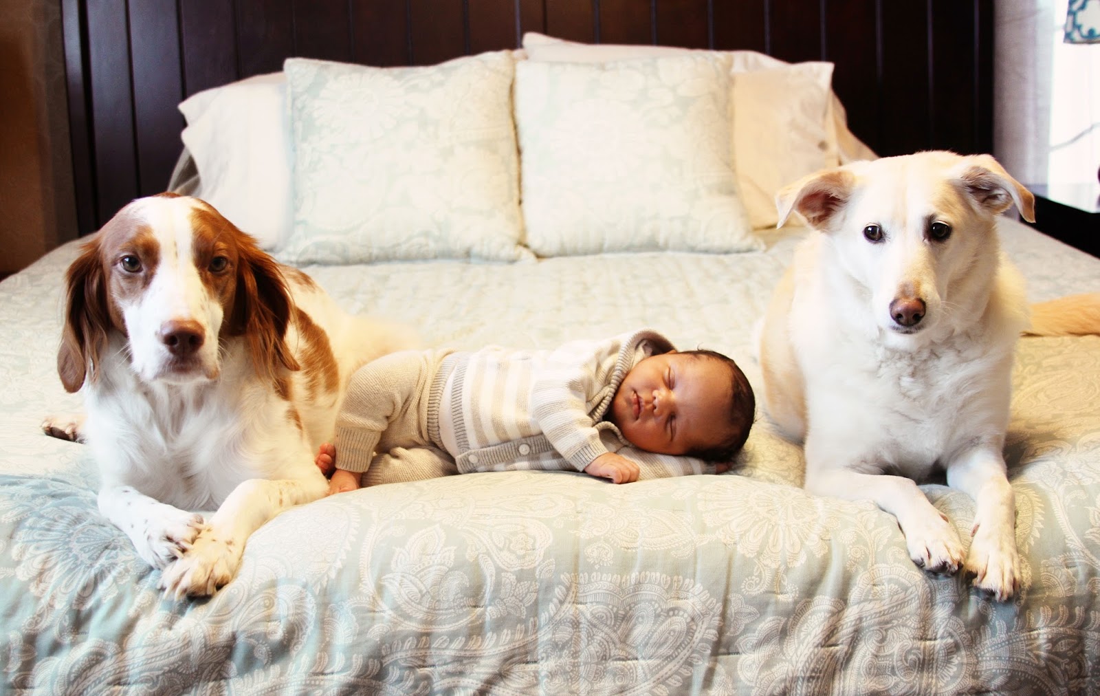 My {Grace Filled} Mess: Adoption Story: Brandon and Erin