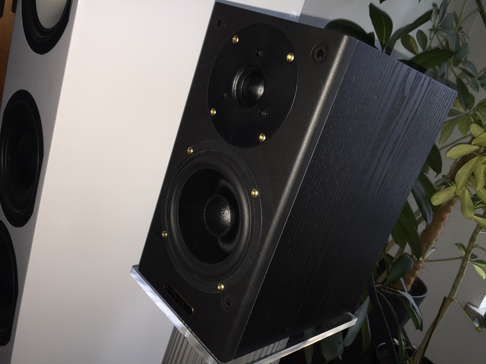 Stereo i Kolorowo - Underground: Monitory PMC DB1 Gold - zapowiedź testu