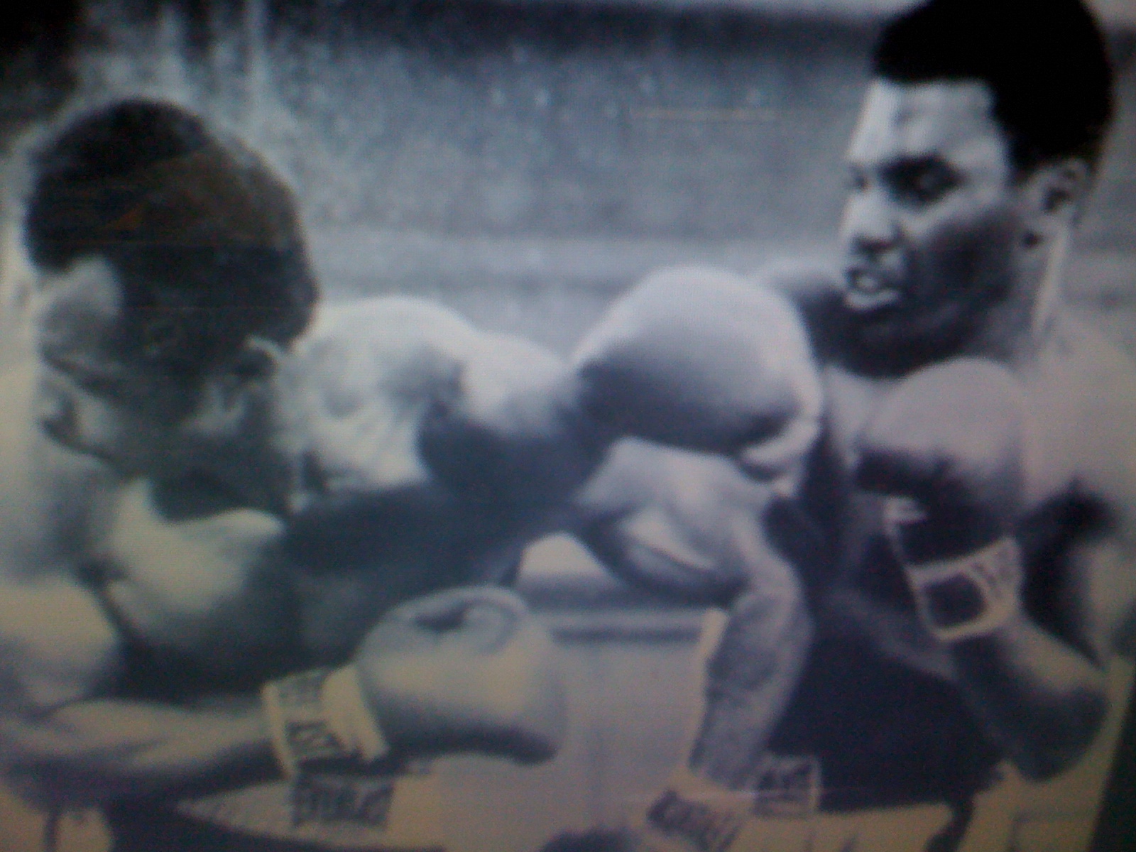 THE BLACK SOCIAL HISTORY:: BLACK SOCIAL HISTORY : AFRICAN AMERICAN ...