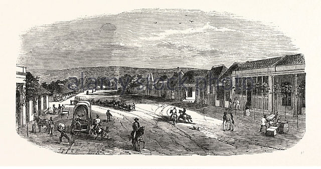 Mole's Genealogy Blog: Souvenir Saturday Durban 1855