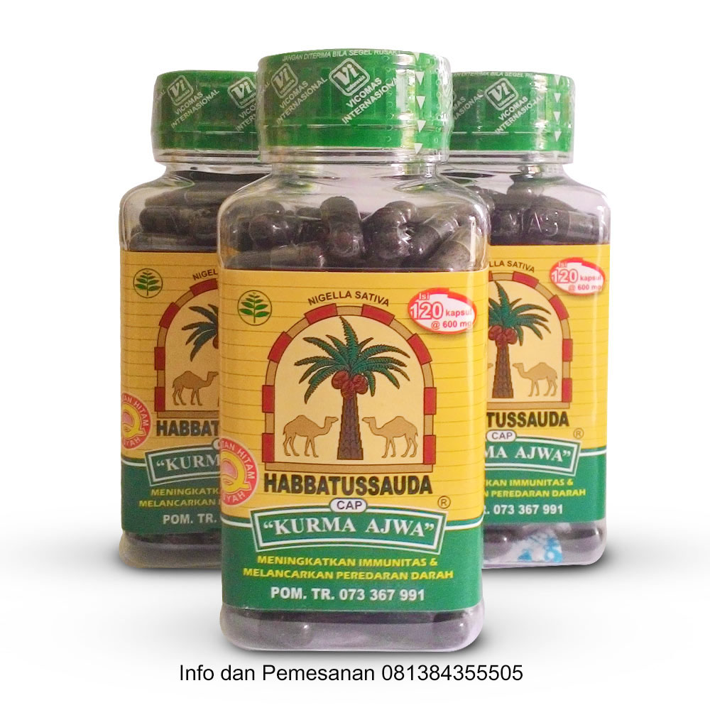 Harga Habbatussauda Distributor PT AMI