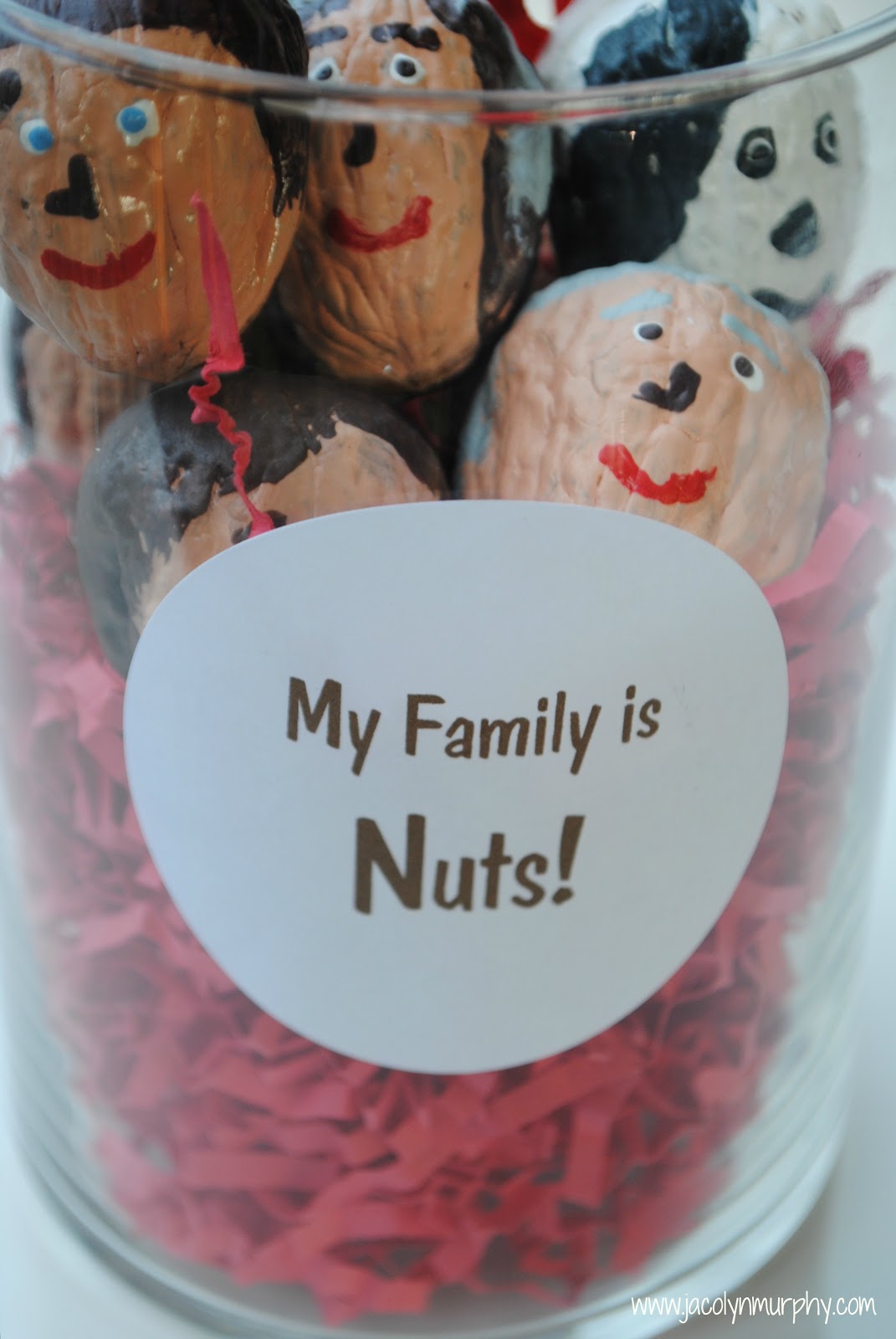 Jac o' lyn Murphy: My Family is Nuts! Silly DIY Ornaments