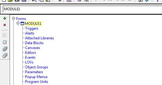 3.Oracle Forms builder Environment - Bug-dbug