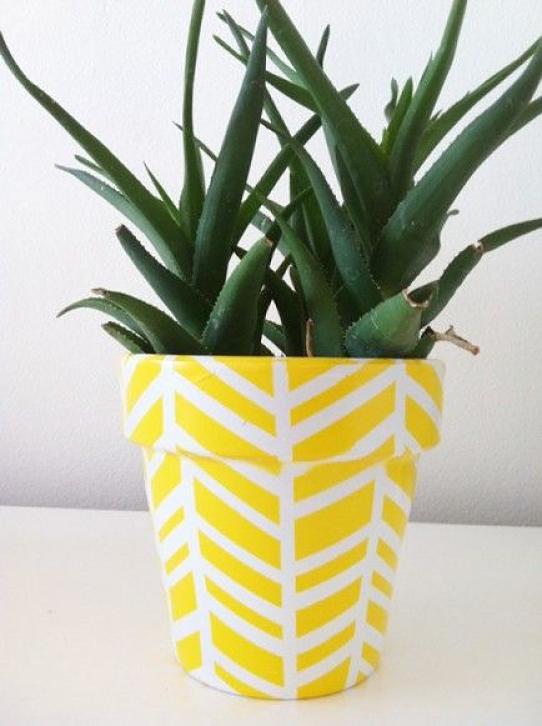 ANIMA TUS MACETAS CON CREATIVOS DISEÑOS | OASISINGULAR