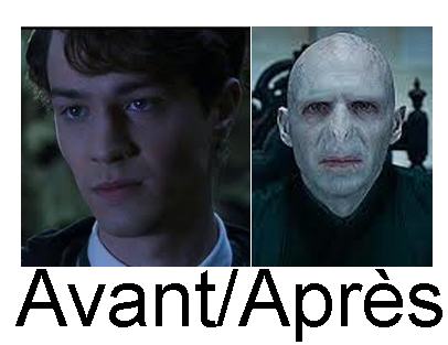 Harry Potter: Les Personnages Principaux