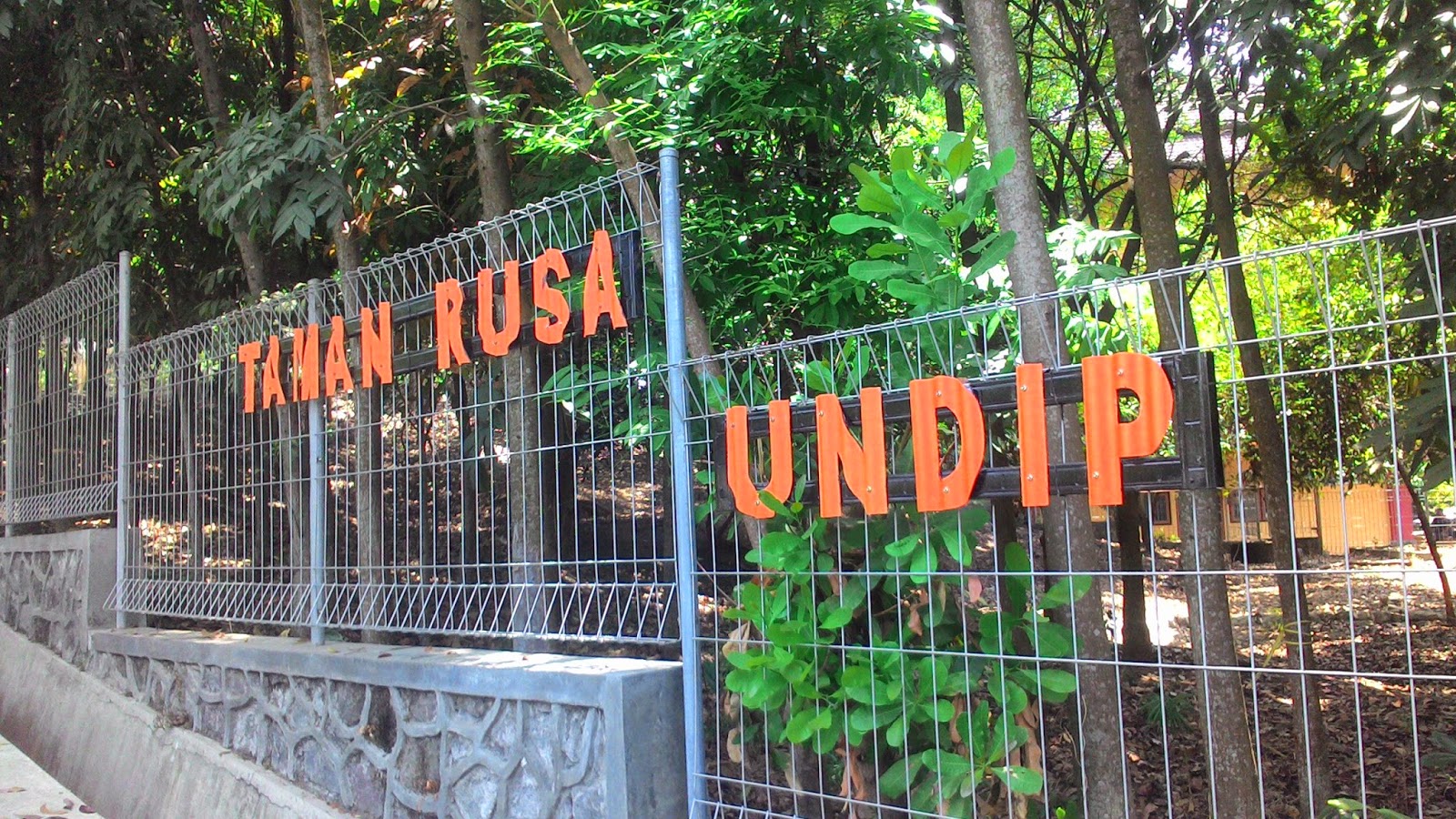 Kenal lebih dekat Patung Sapi dan Taman Rusa Undip | Aku Dan Tembalang