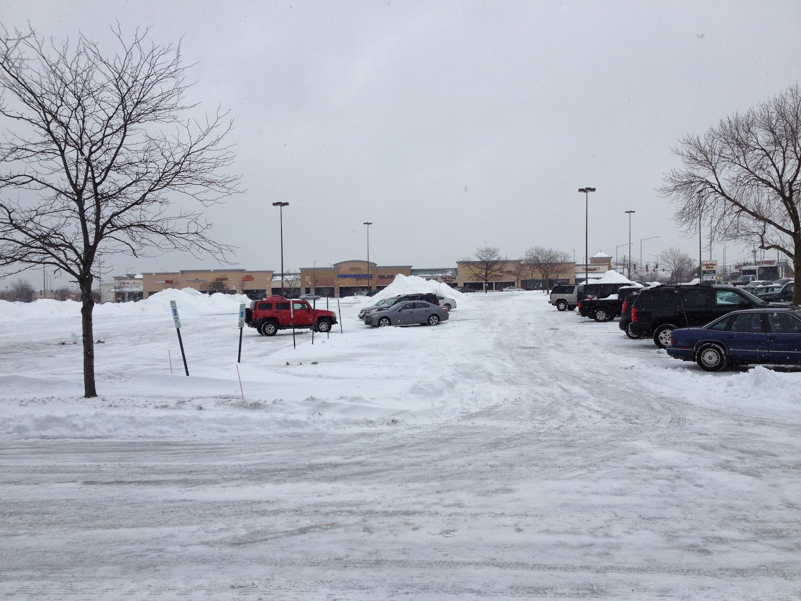 Suburban Chicagoland: "SnowNado": One tough winter with Snow Dec 2013 ...