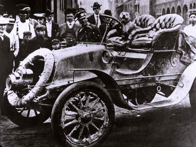 It All Started With a $50 Wager, Two Men and a Pit Bull Took the ...