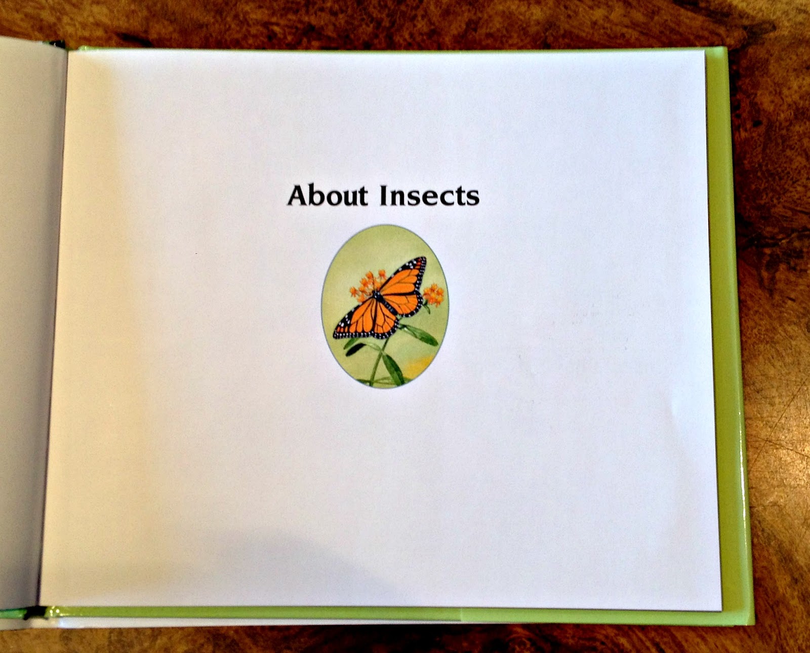 Half-title page of About Insects