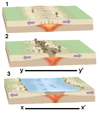 Blog de la clase de Biología y Geología de 1º de Bachillerato del IES ...