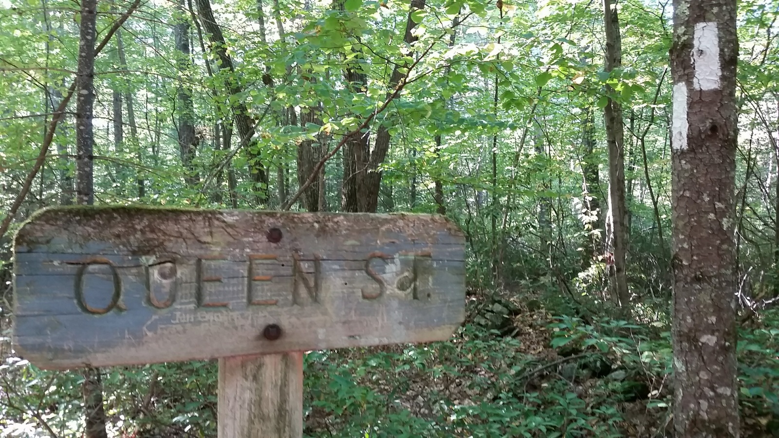 Along the NET-Cohos: MA NET Sections 9b -11 Part 2