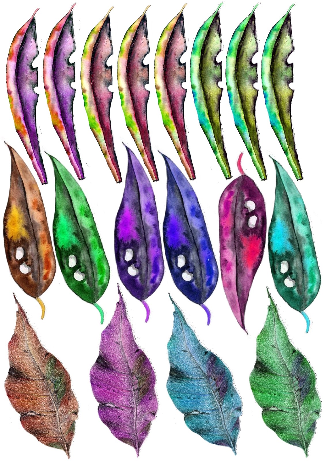 MIXED MEDIA SCRATCH ART - Frogs