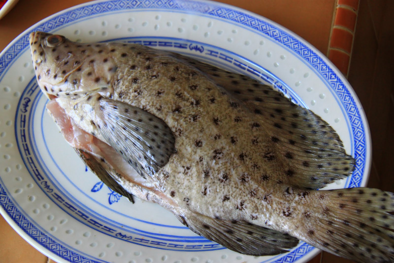 Memoirs of My Thoughts: TeoChew Steamed Garoupa