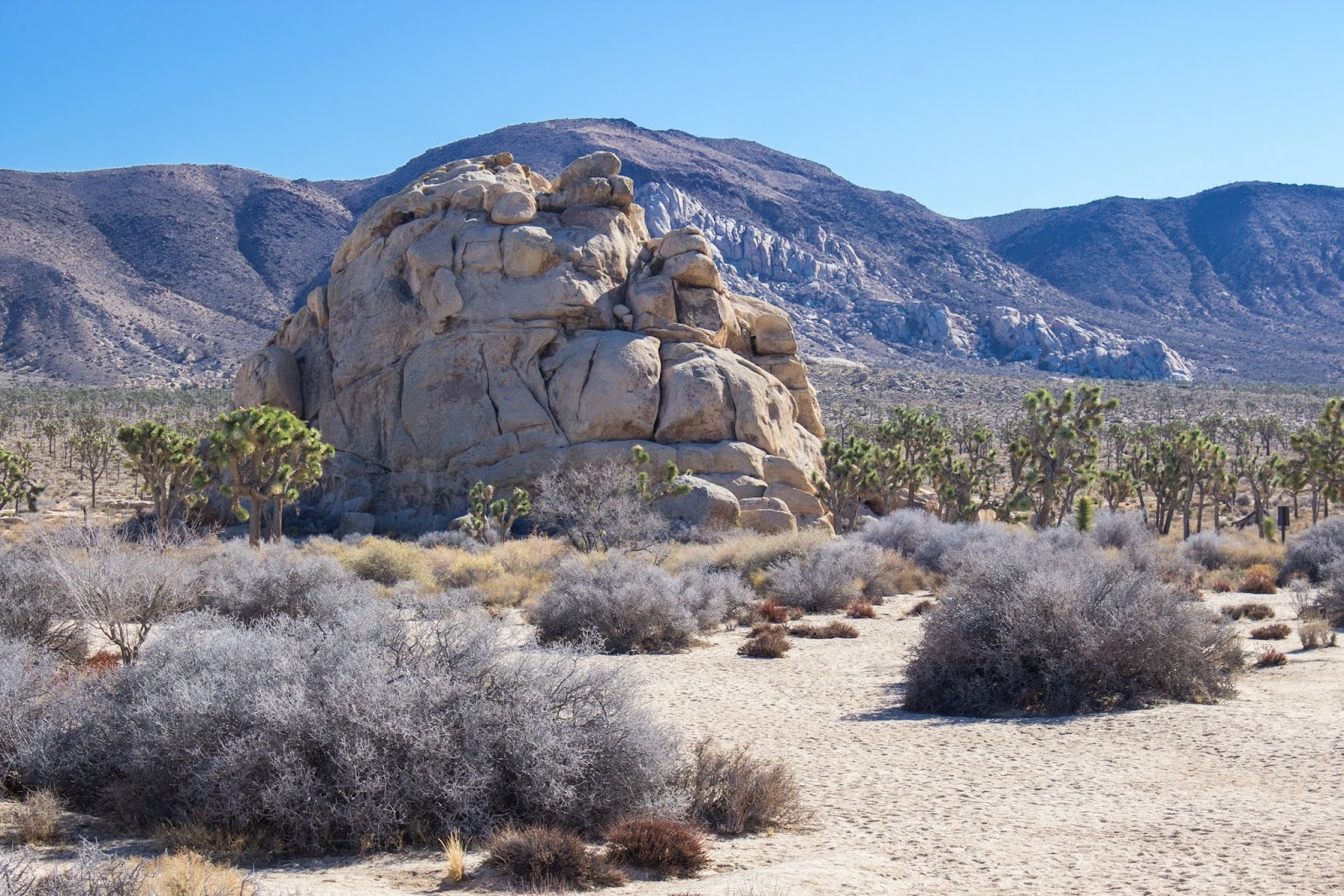 Climbing and Bouldering Mecca at Joshua Tree National Park - Explore ...