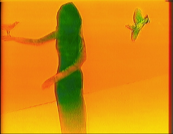 The Astonishing Egg: Tom Thayer