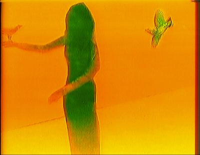 The Astonishing Egg: Tom Thayer