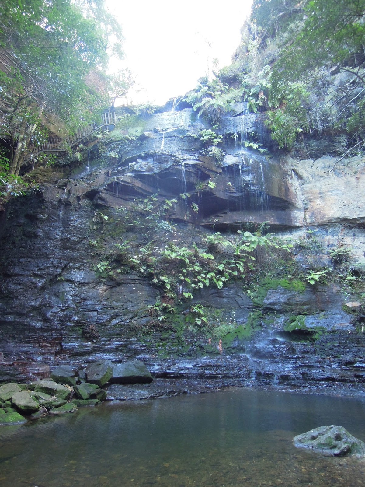 The Wild Reed: Journey to the Southern Highlands & Tablelands