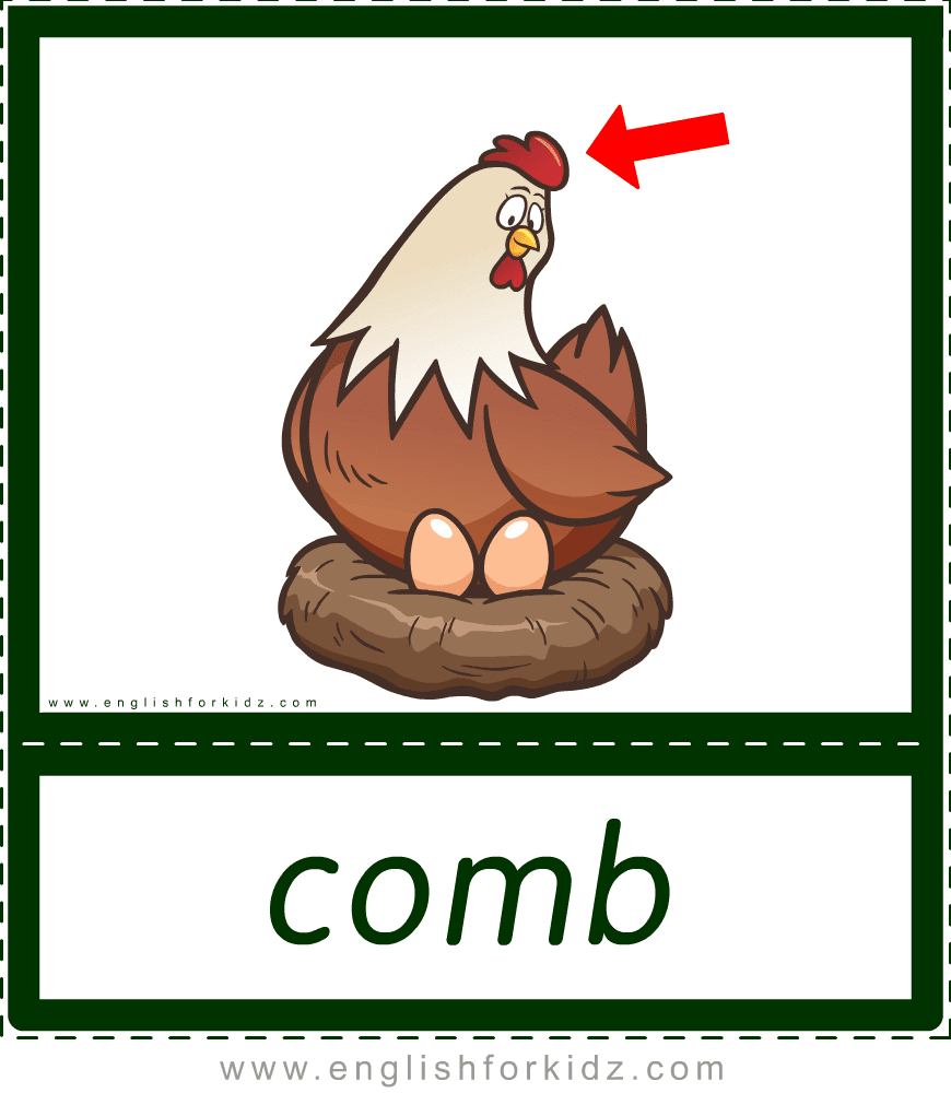 Printable Flashcards: Animal Body Parts. Part 1.