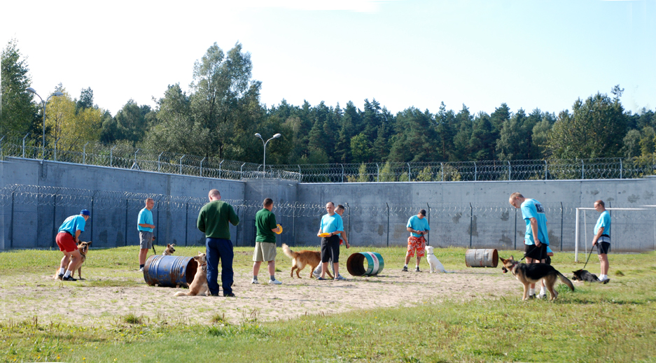 PRISON DOG PROGRAMS ~ BRIDGES and PATHWAYS of COURAGE: PRISON DOG ...