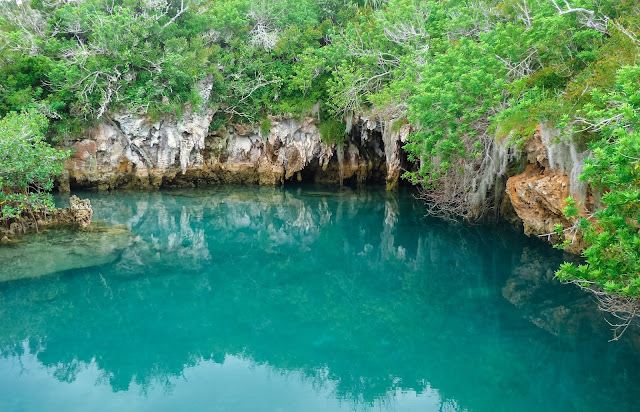 These Boots, in Bermuda.: Day 11 - Part 2: Blue Hole Park