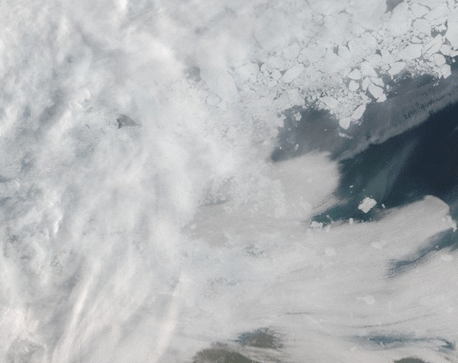 Seemorerocks: The destruction of Arctic ice - 07/02/2017