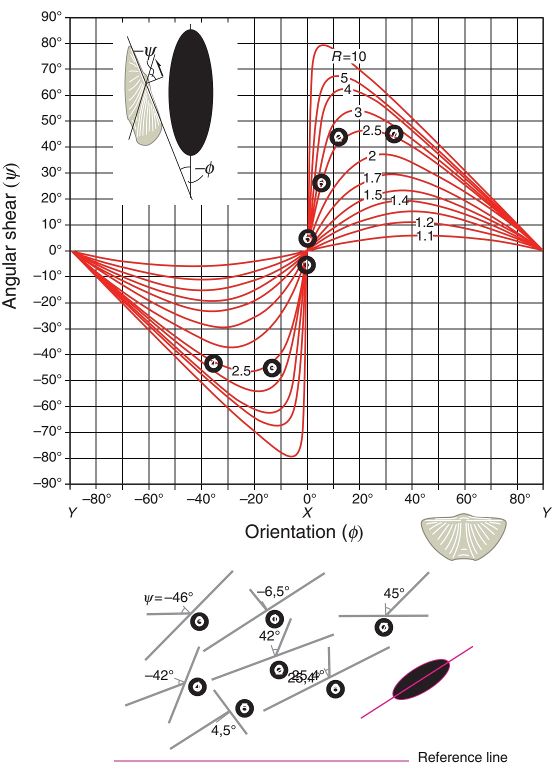 Learning Geology: Why perform strain analysis?