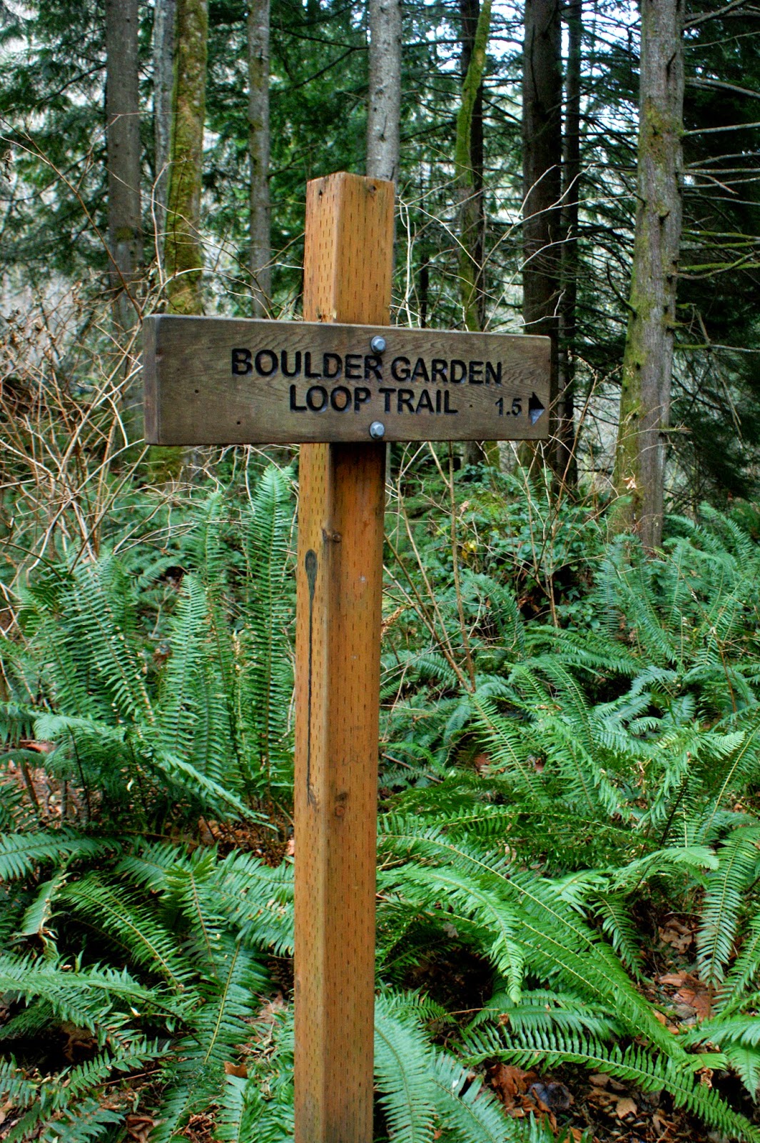 Exploring the Unknown: Boulder Gardens