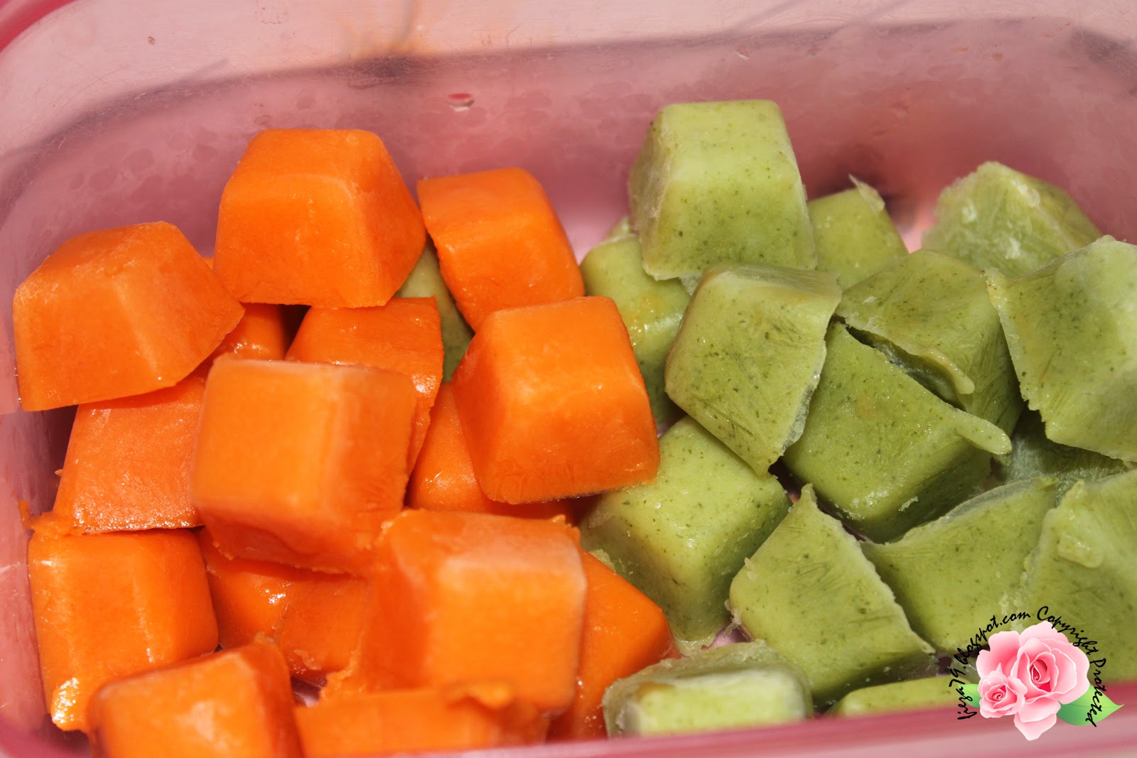 cara buat puree buah dan sayur | Dunia Indah Mama