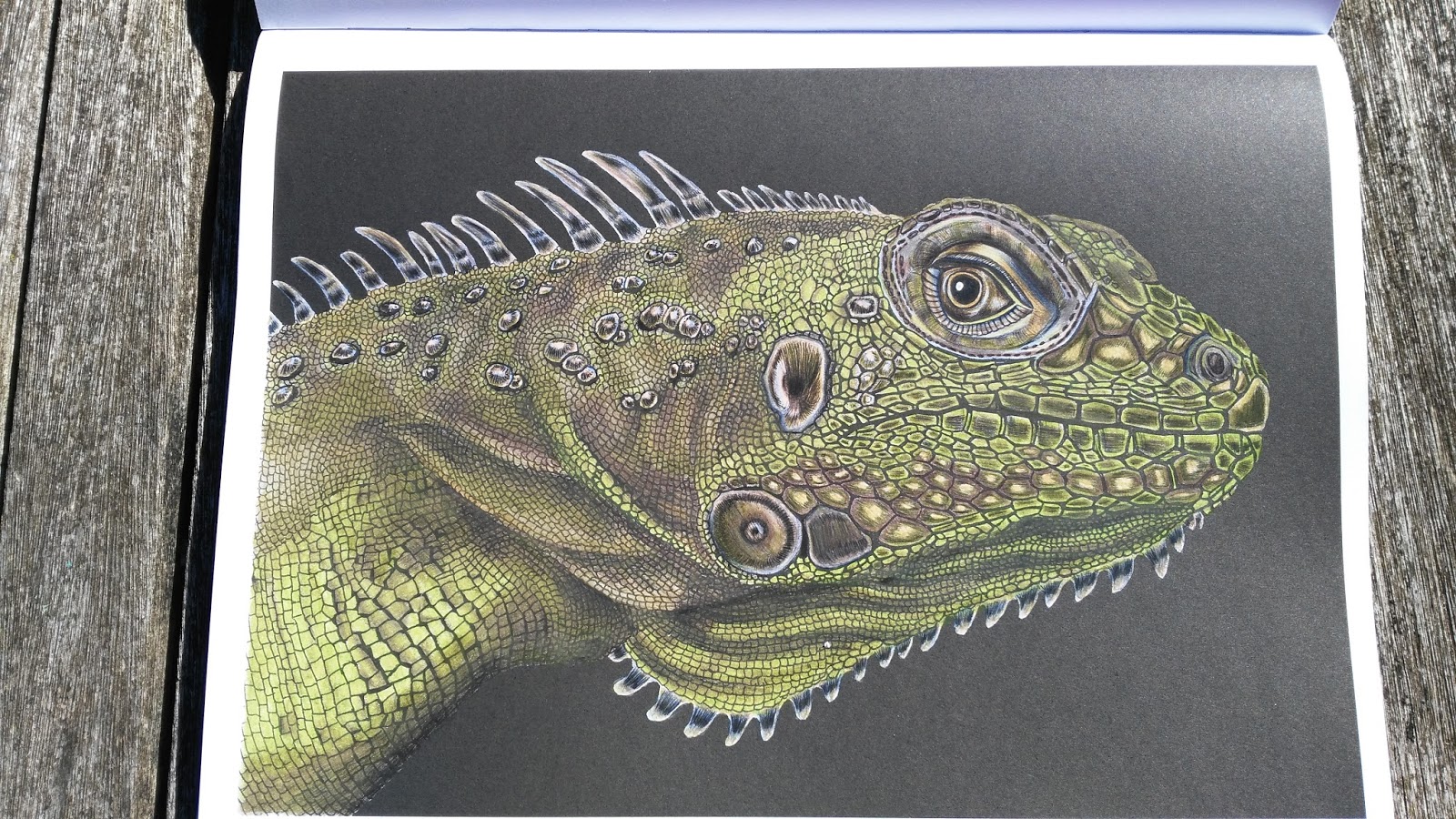 Kleurvitality : Intricate ink : a coloring book by Tim Jeffs