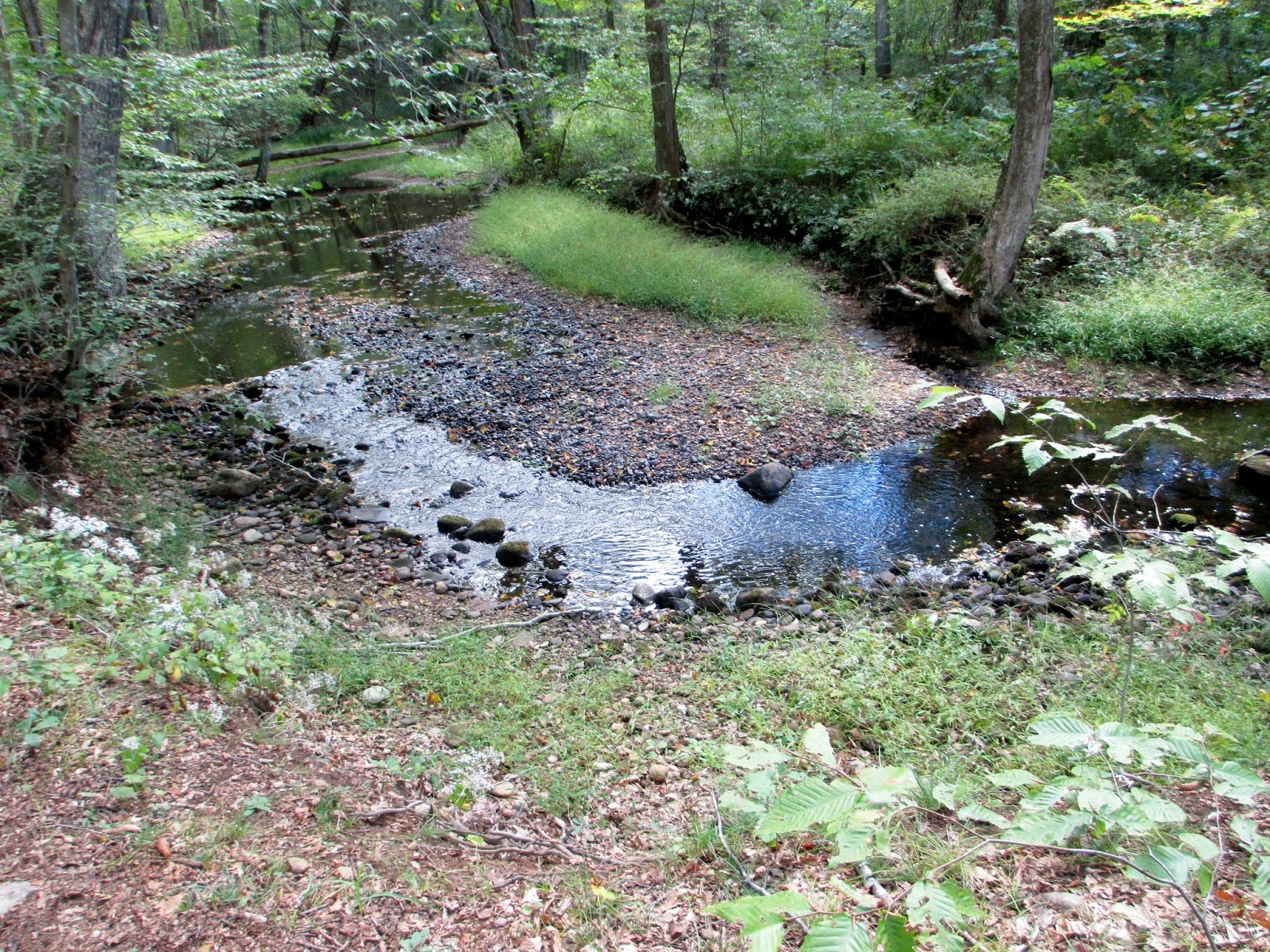 Small Stream Reflections: Small Streams From A Different Set Of Eyes