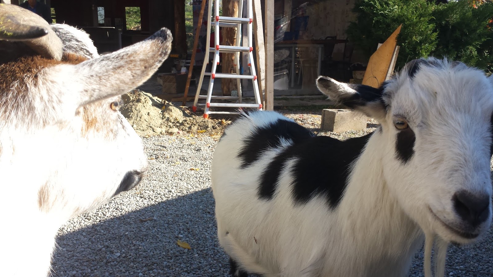 Babbo Natale Montebabbio