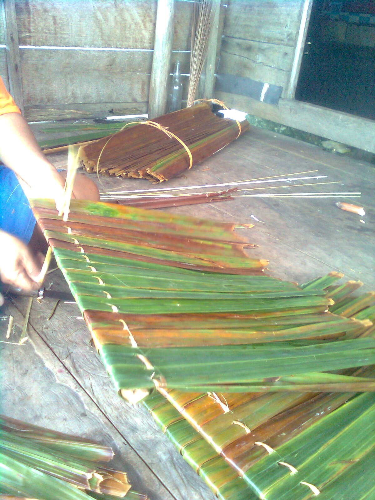 Tafakkur pada Ciptaan Allah Subhanahu Wa Ta'ala: Atap dari daun Sagu