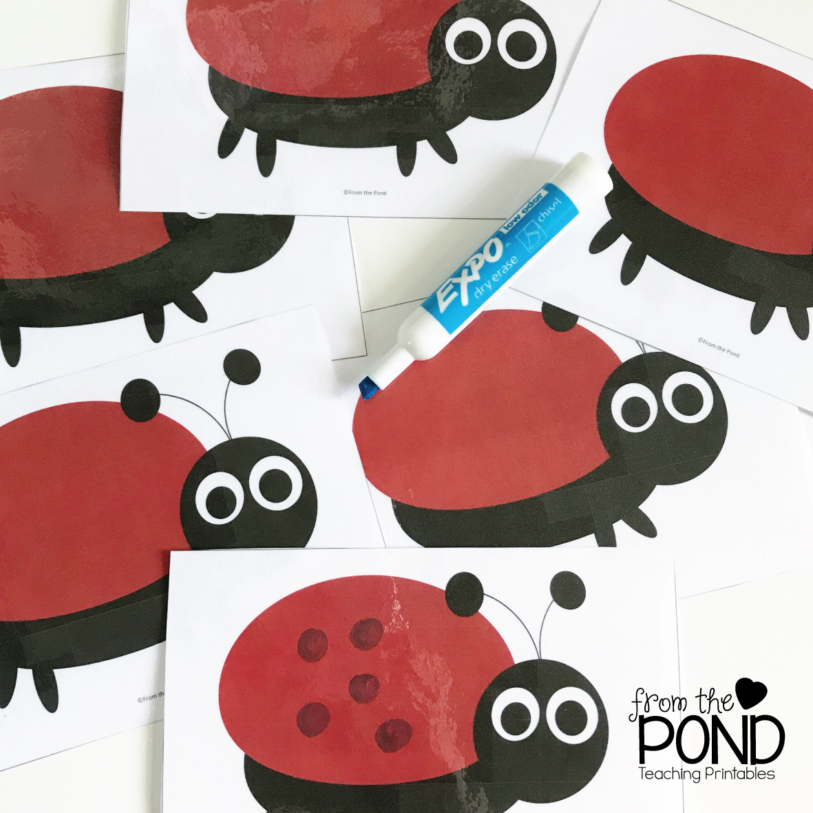 Ladybug Subtraction Game {Monday Memory} | From the Pond