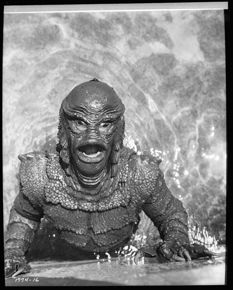 Pop Culture Safari!: Vintage photo still: Creature from the Black Lagoon!