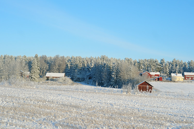 Countrylife in Finland: Countryside on a winter day
