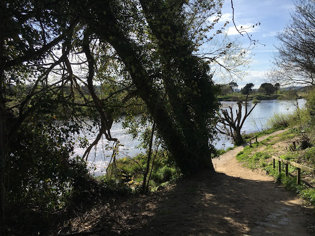 Corbridge: A Walk By the River. - The Geordie Tourist.