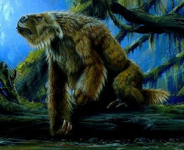 Even so, the mystery of the mapinguary is likely to continue, as is the ...