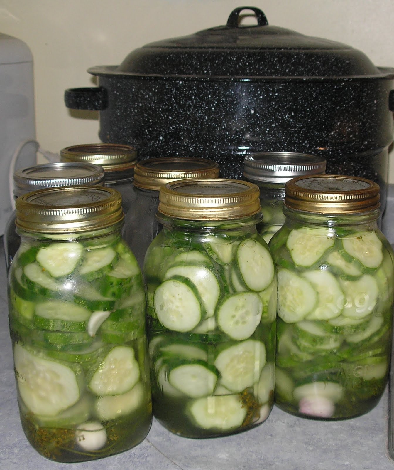 The Cheerful Agrarian: Basic Dill Pickles