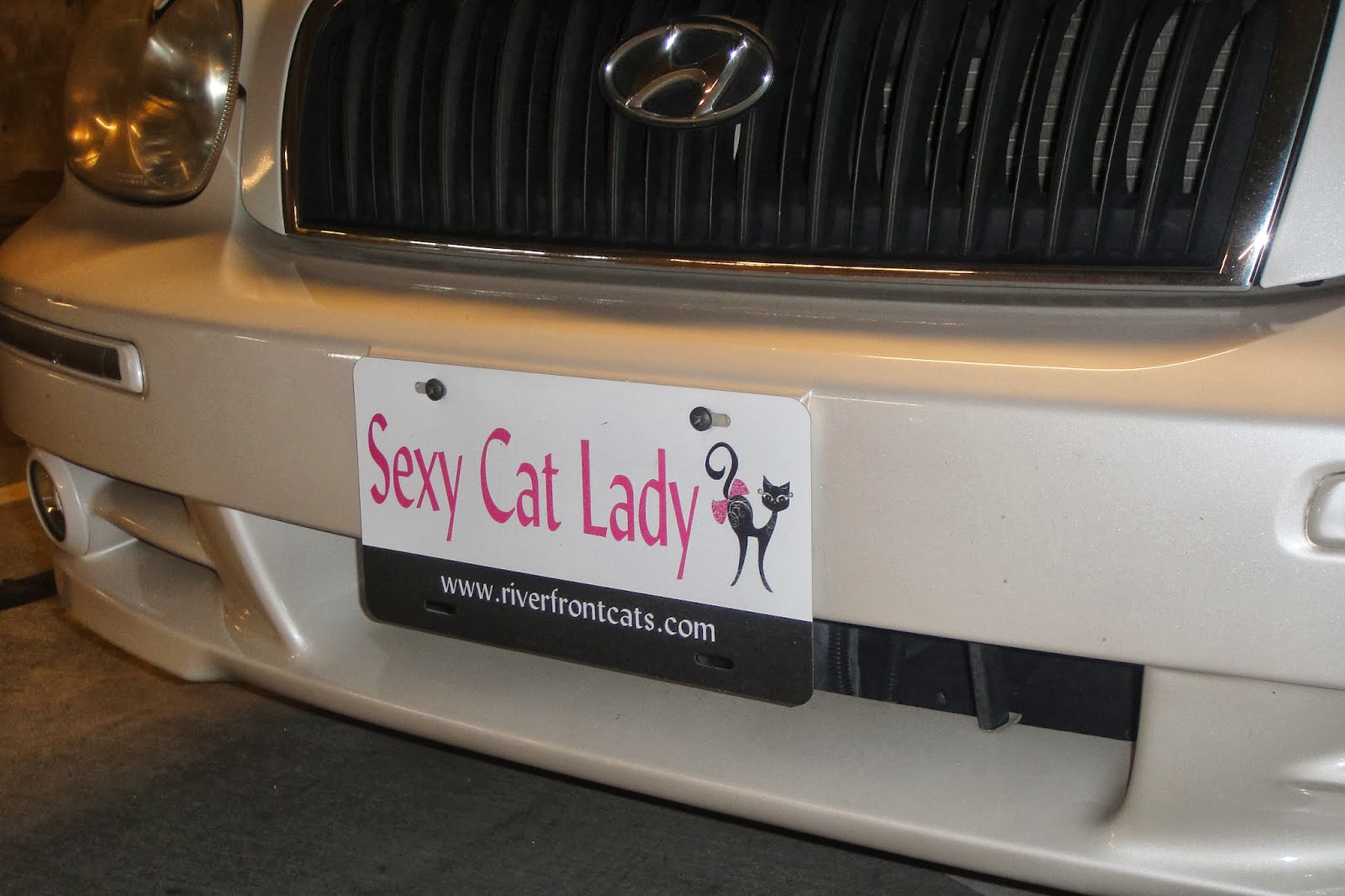 Christine's Joie de Vivre: My First Music Video--Get Your Sexy On!