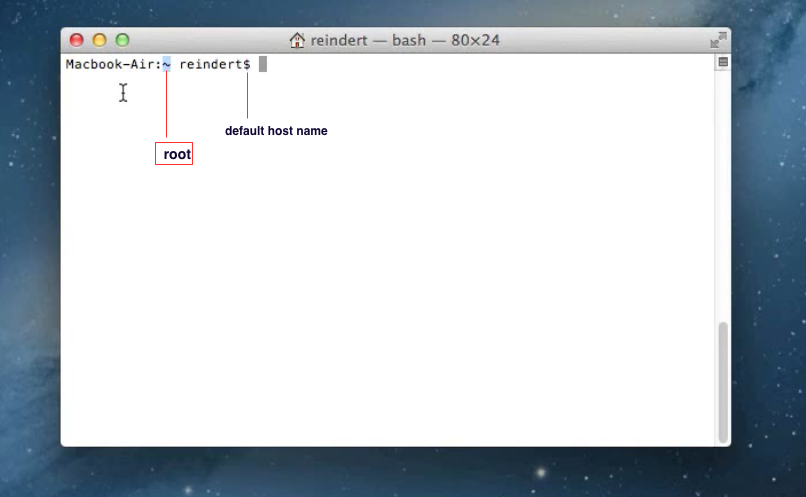 Introduction To BASH Mini Google Introduction To BASH Mini Google